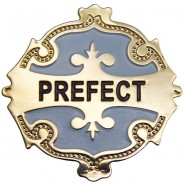 School Trophies and School medals with free engraving!
